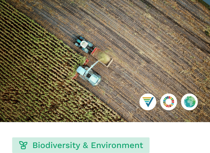 Carbon credits from Tech-based and Hybrid Carbon Removal Projects