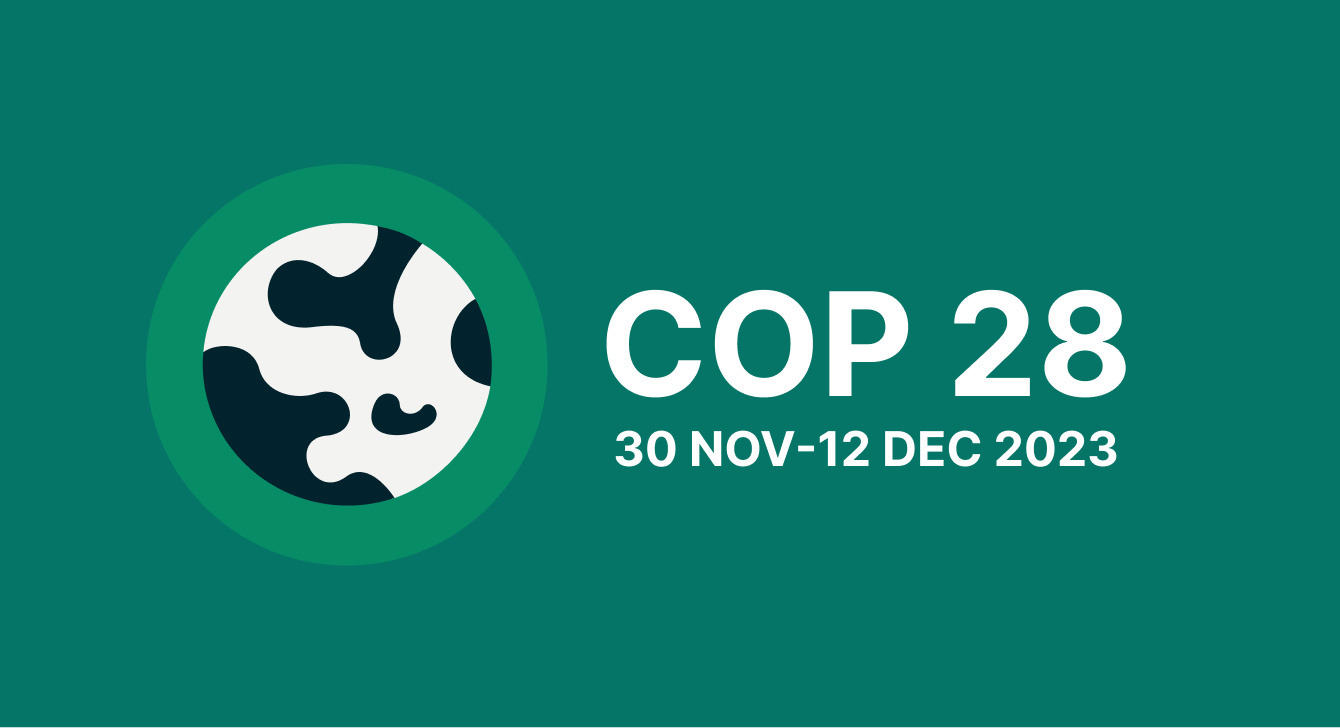 Key Takeaways from COP29