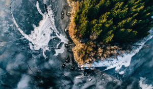 The difference between carbon removal and carbon avoidance projects