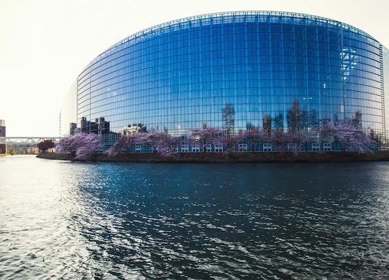 What are ARR projects? Afforestation, Reforestation & Revegetation