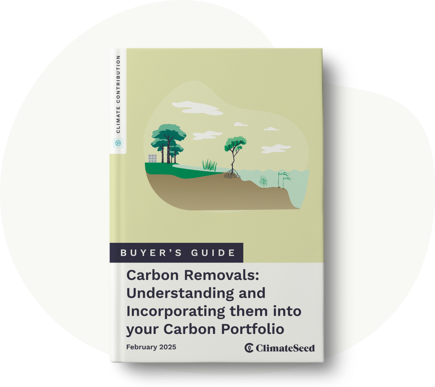 What are the carbon sequestration methods?