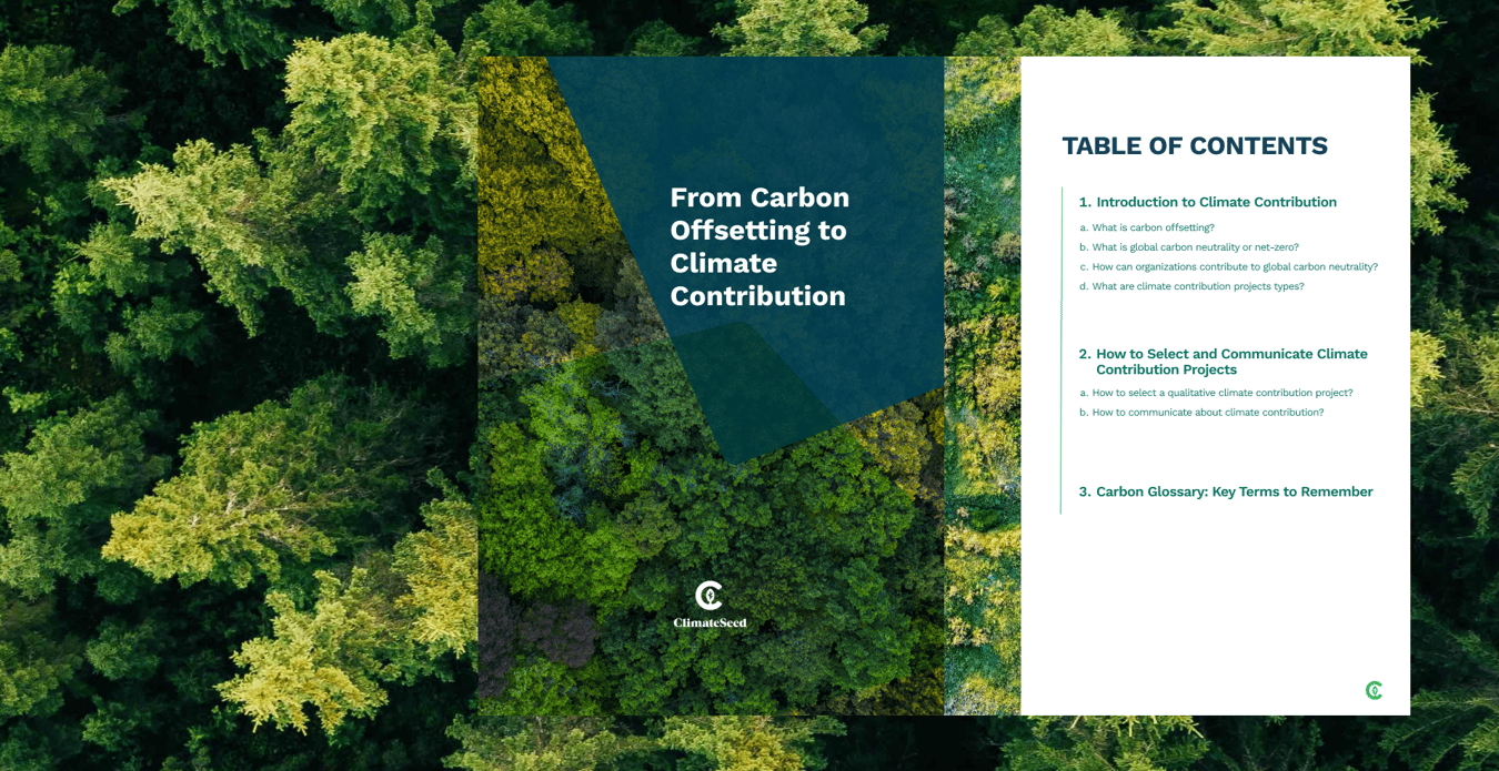 From Carbon Offsetting to Climate Contribution | Guide