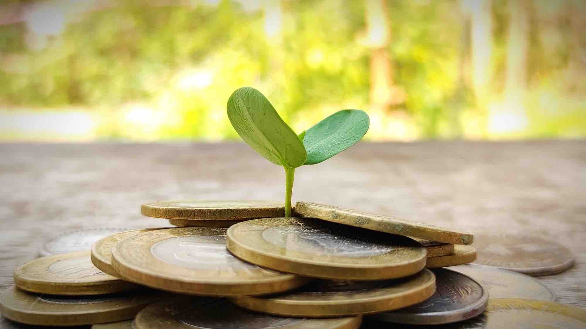 The difference between carbon removal and carbon avoidance projects