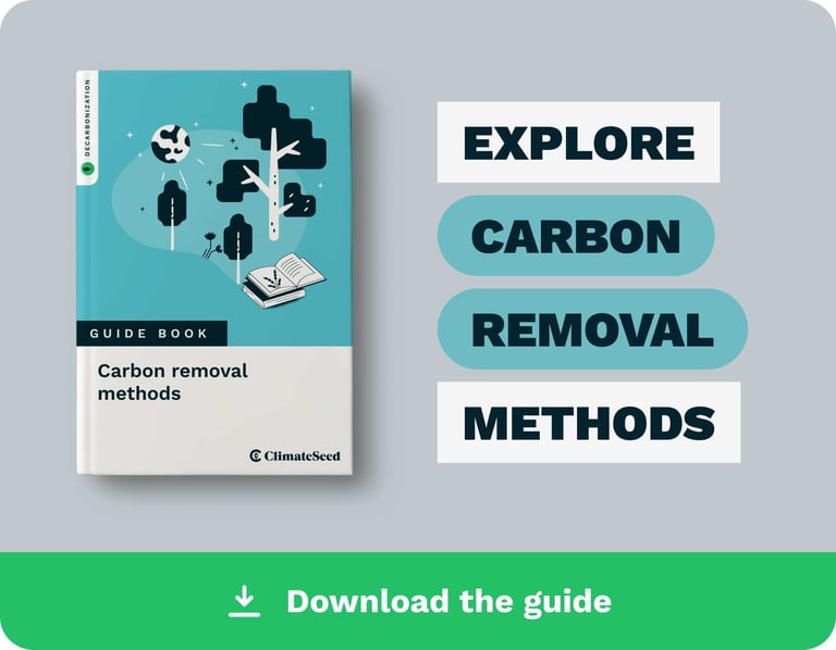 What are the carbon sequestration methods?