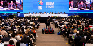 Key Takeaways from COP29